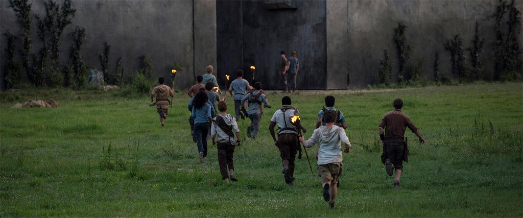 Maze Runner: Die Auserwählten im Labyrinth – OT: The Maze Runner (2014 ...